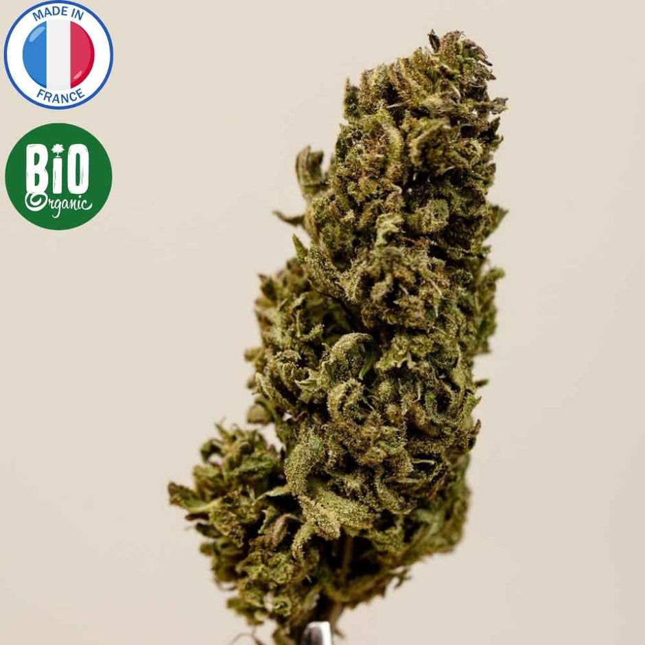 CBD Bio Français – Huiles & Fleurs Premium | Le Comptoir du CBD Bio ...
