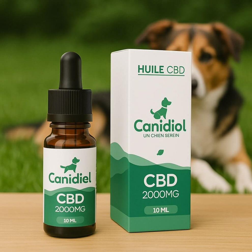 Huile CBD Chien 20% – Bien-être naturel sans THC – Le comptoir du CBD Bio